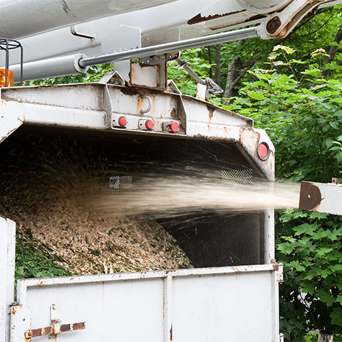 Tree Trimming Trucks with Reliable Roots - Top 5 Work Trucks for ...