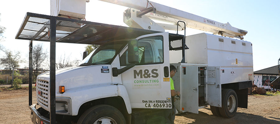 Tree Trimming Trucks with Reliable Roots - Top 5 Work Trucks for ...